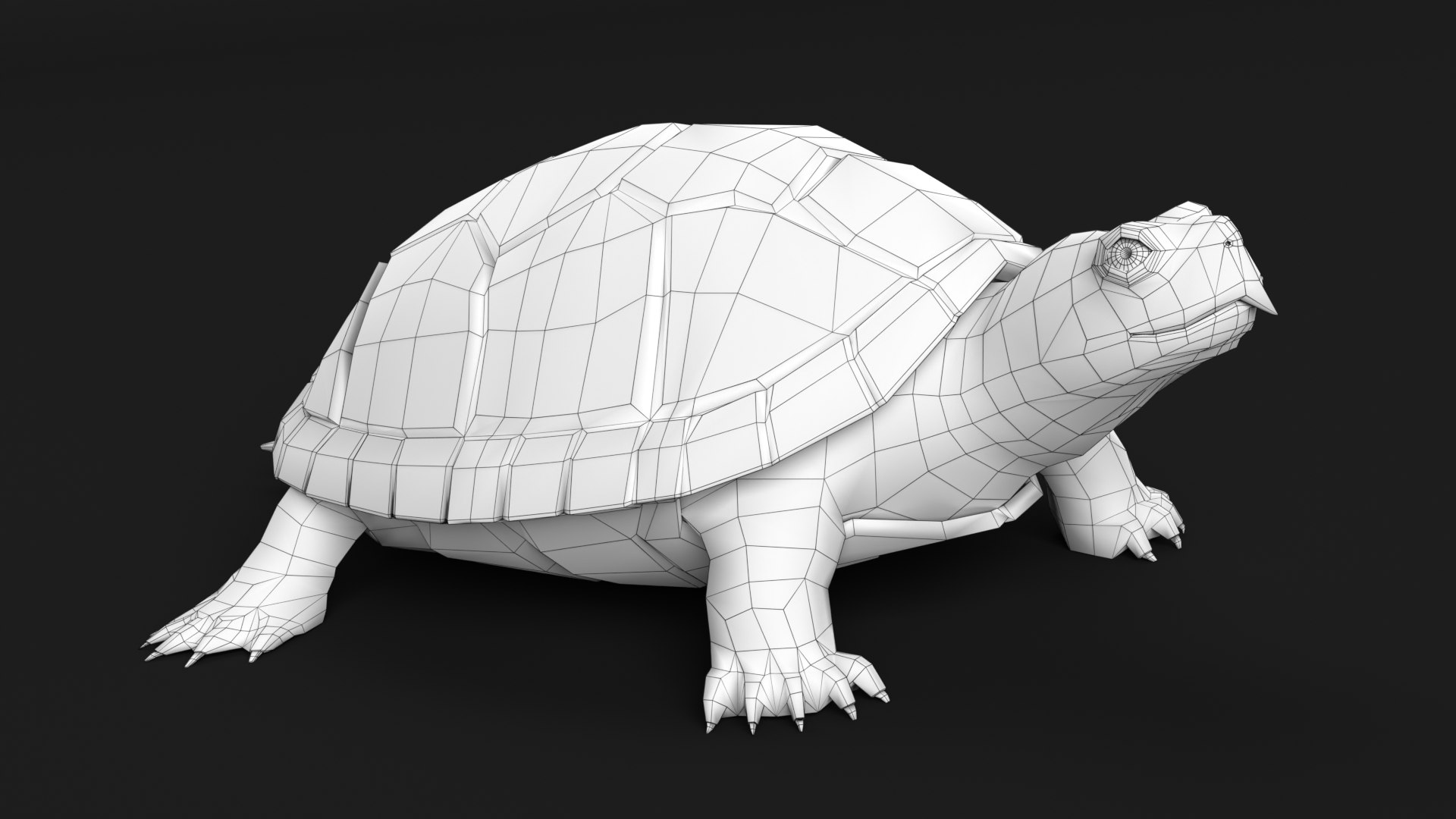 Box Turtle 3D - TurboSquid 2121217