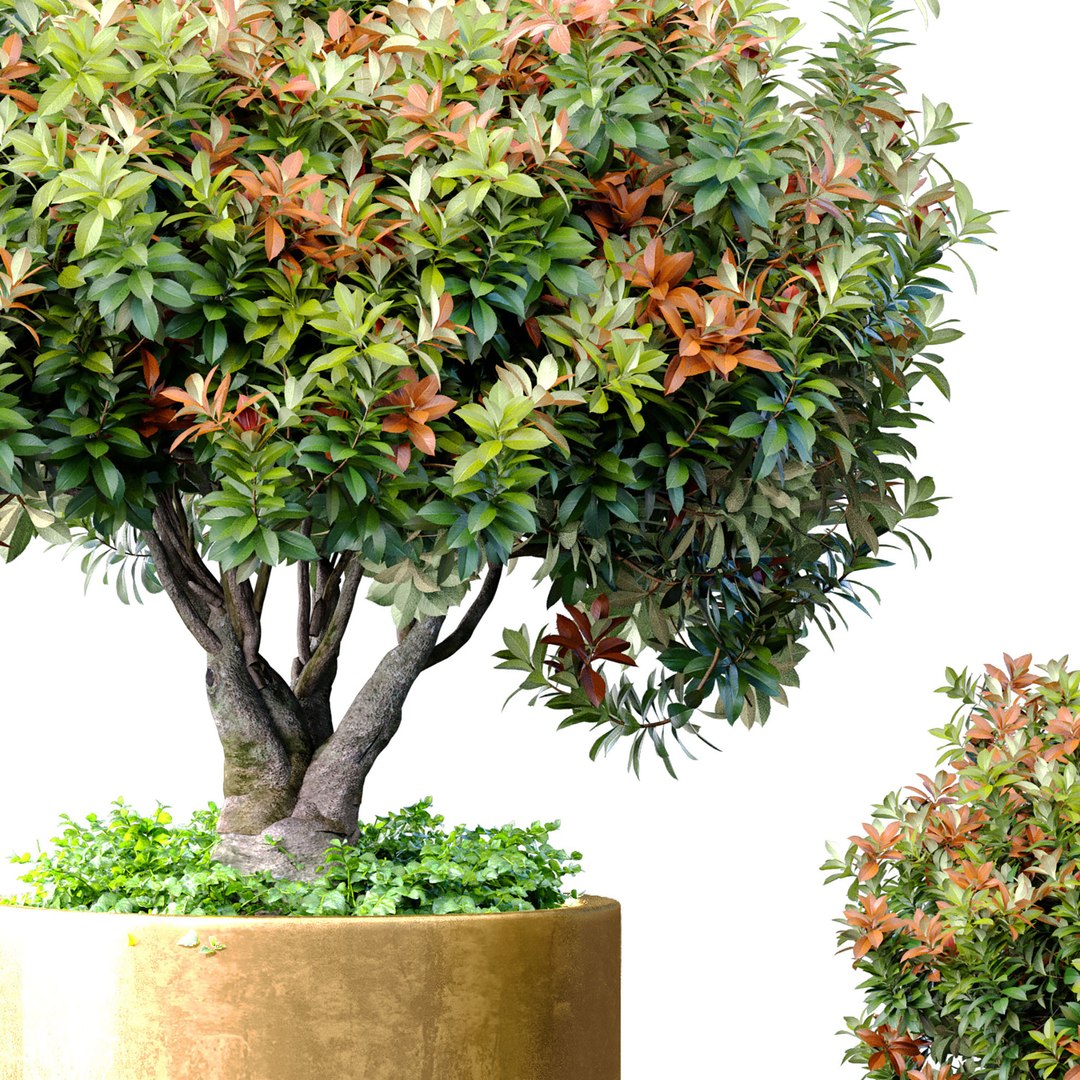 3D Decorative Flowering Tree Classic Gold Tall Vase Urn ArtDeco Model ...