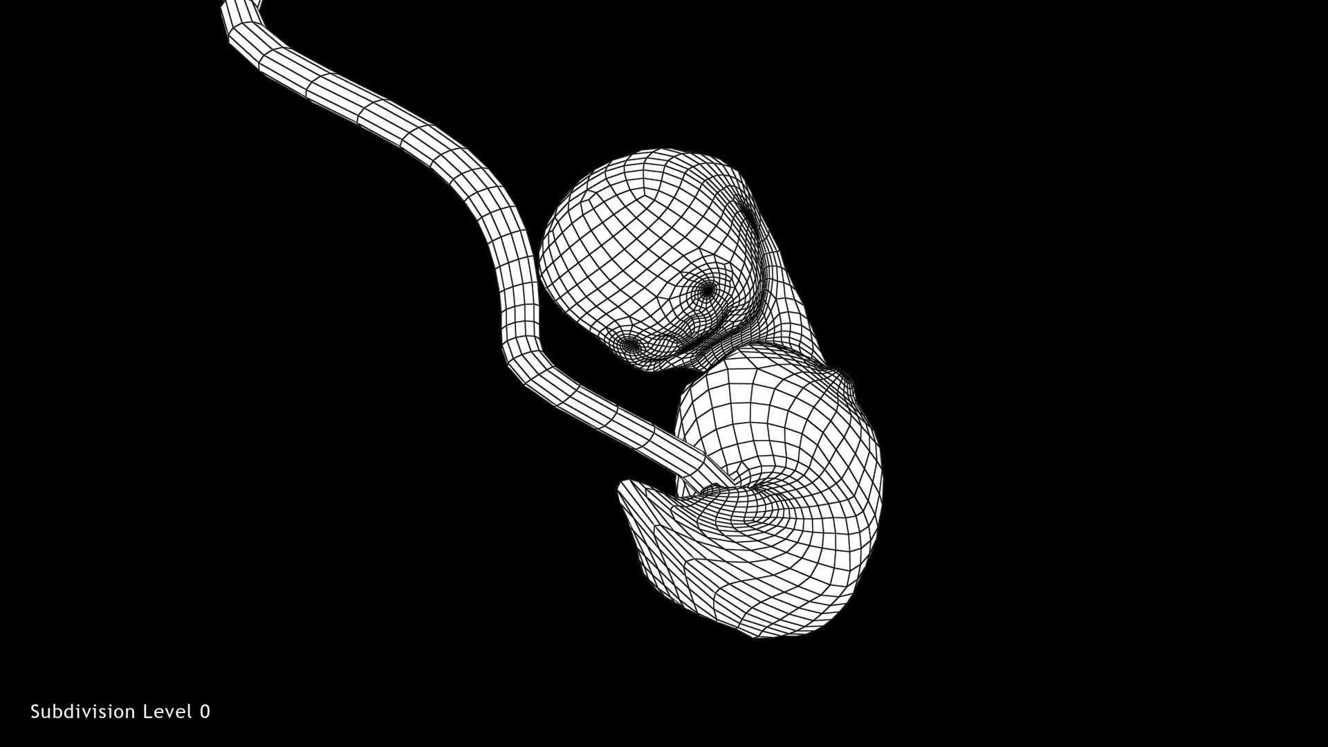 3d Animated And Morphed Human Fetus Turbosquid 2036248
