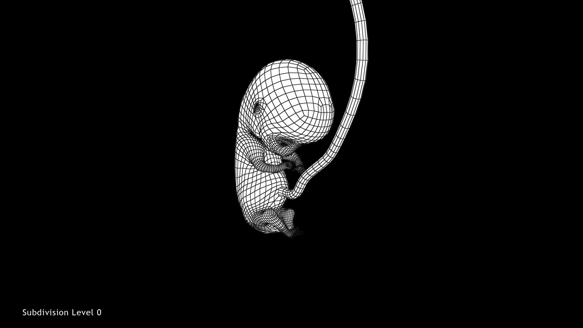 3D Animated and Morphed Human Fetus - TurboSquid 2036248
