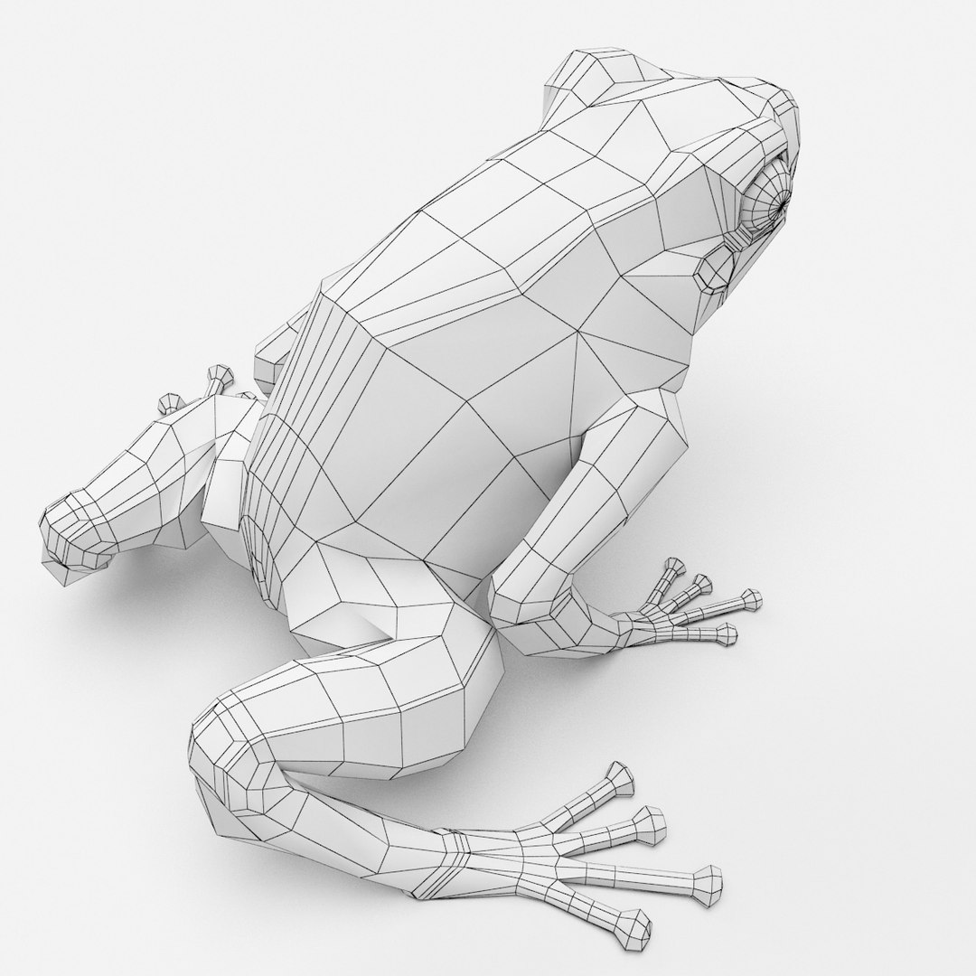 striped poison dart frog 3d model