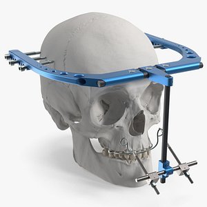 Cráneo 3D Modelos para Descargar | TurboSquid