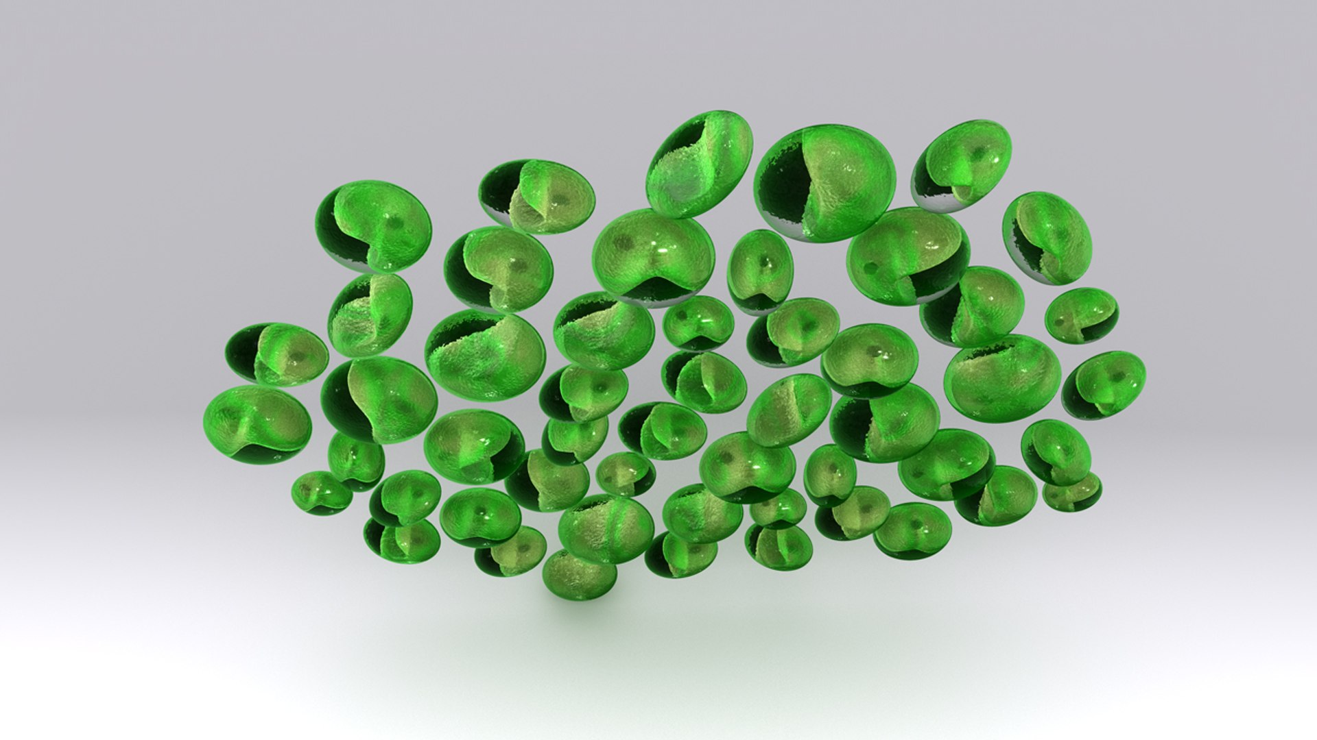 3d Chlorella Model