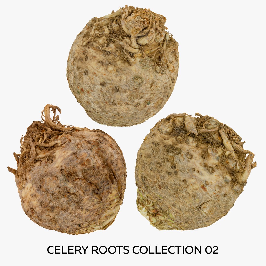 3D Celery Roots Collection 02 - 3 Models RAW Scans - TurboSquid 1836376