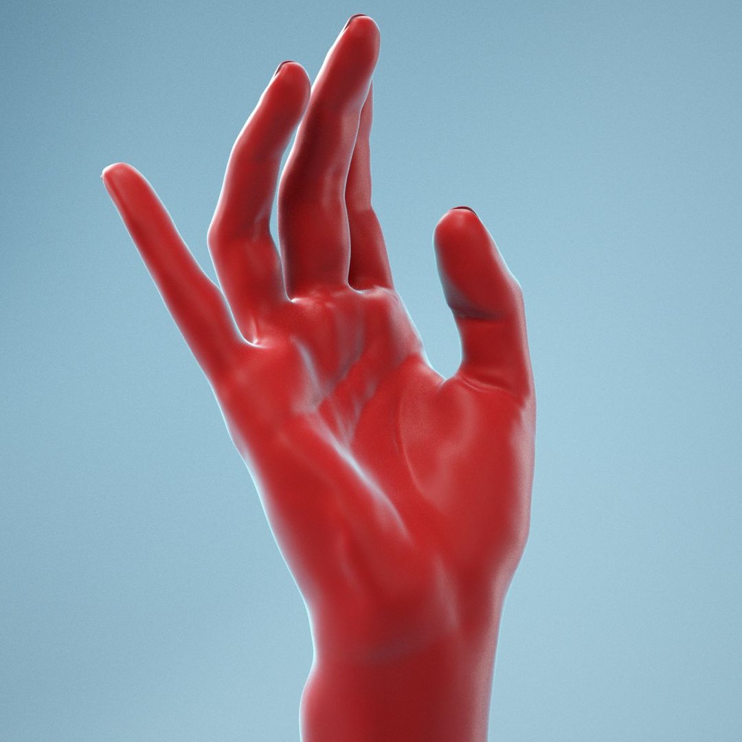 Female Hand 3D Model - TurboSquid 1451694