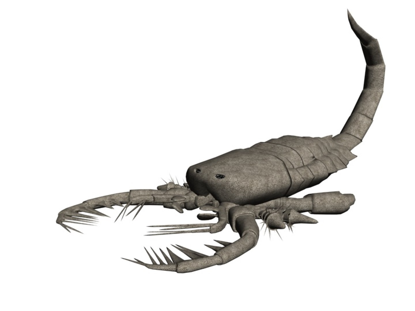 3d Eurypterids Sea Scorpions Arachnids Model