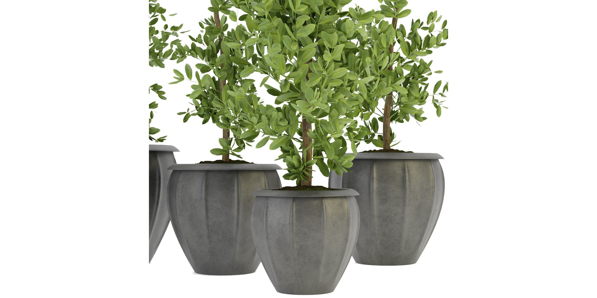 3D Collection Plant Vol 299 - Blender Model - TurboSquid 2092148