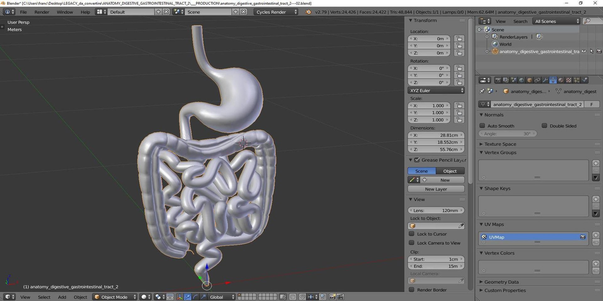 3D Digestive Gastrointestinal Tract 2 Model - TurboSquid 1151722