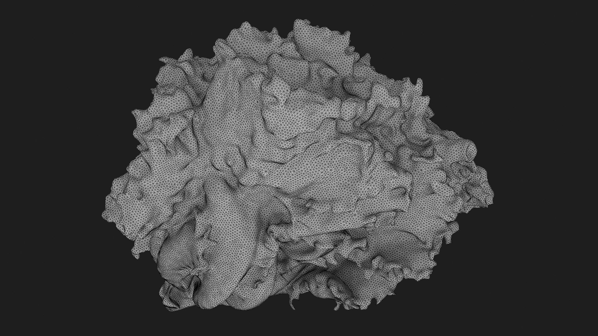 Frillice Iceberg Lettuce 3D - TurboSquid 2228920