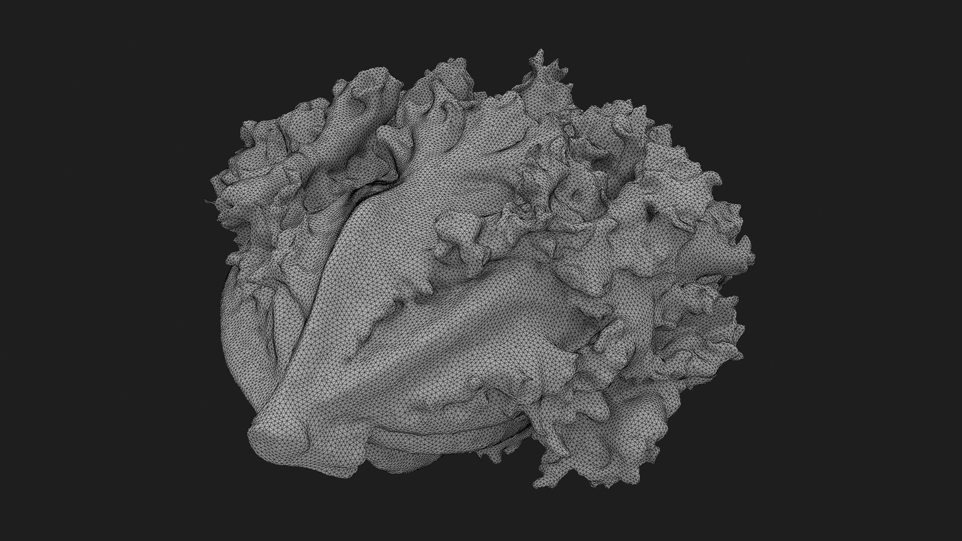 Frillice Iceberg Lettuce 3D - TurboSquid 2228920