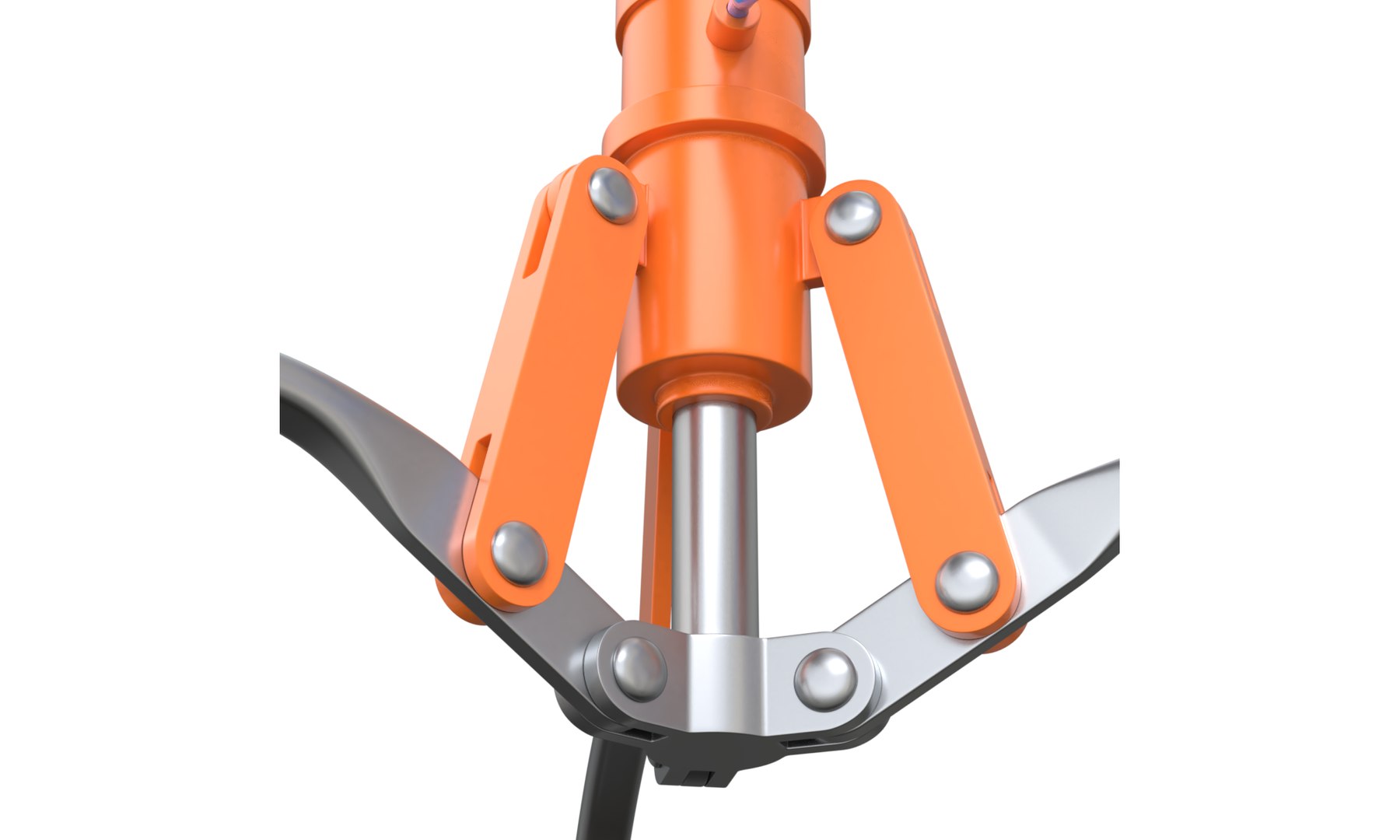 3D Claws Rigged - TurboSquid 1575858