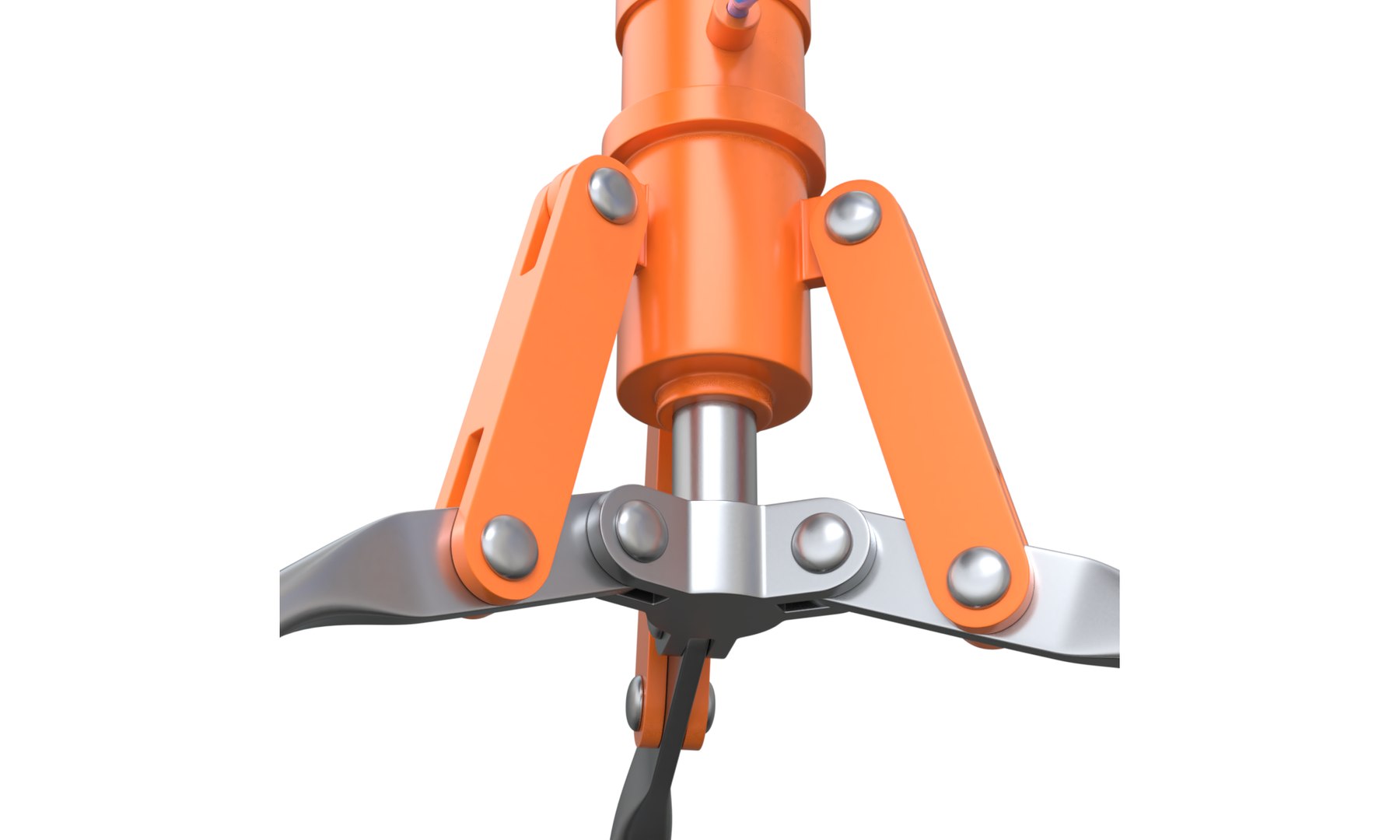 3D Claws Rigged - TurboSquid 1575858
