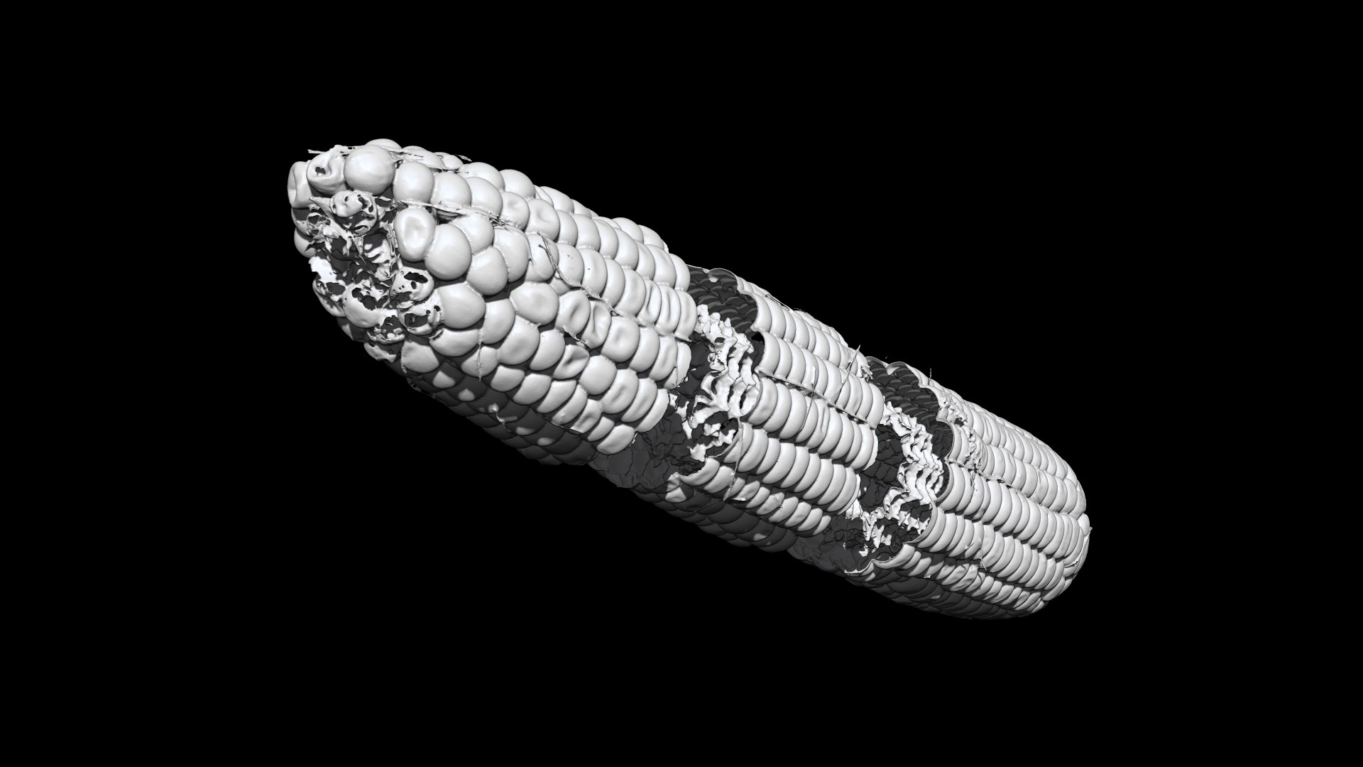 3D Corn 3D CT Scan Model Cut2 Decimate 80 Percent - TurboSquid 1945220