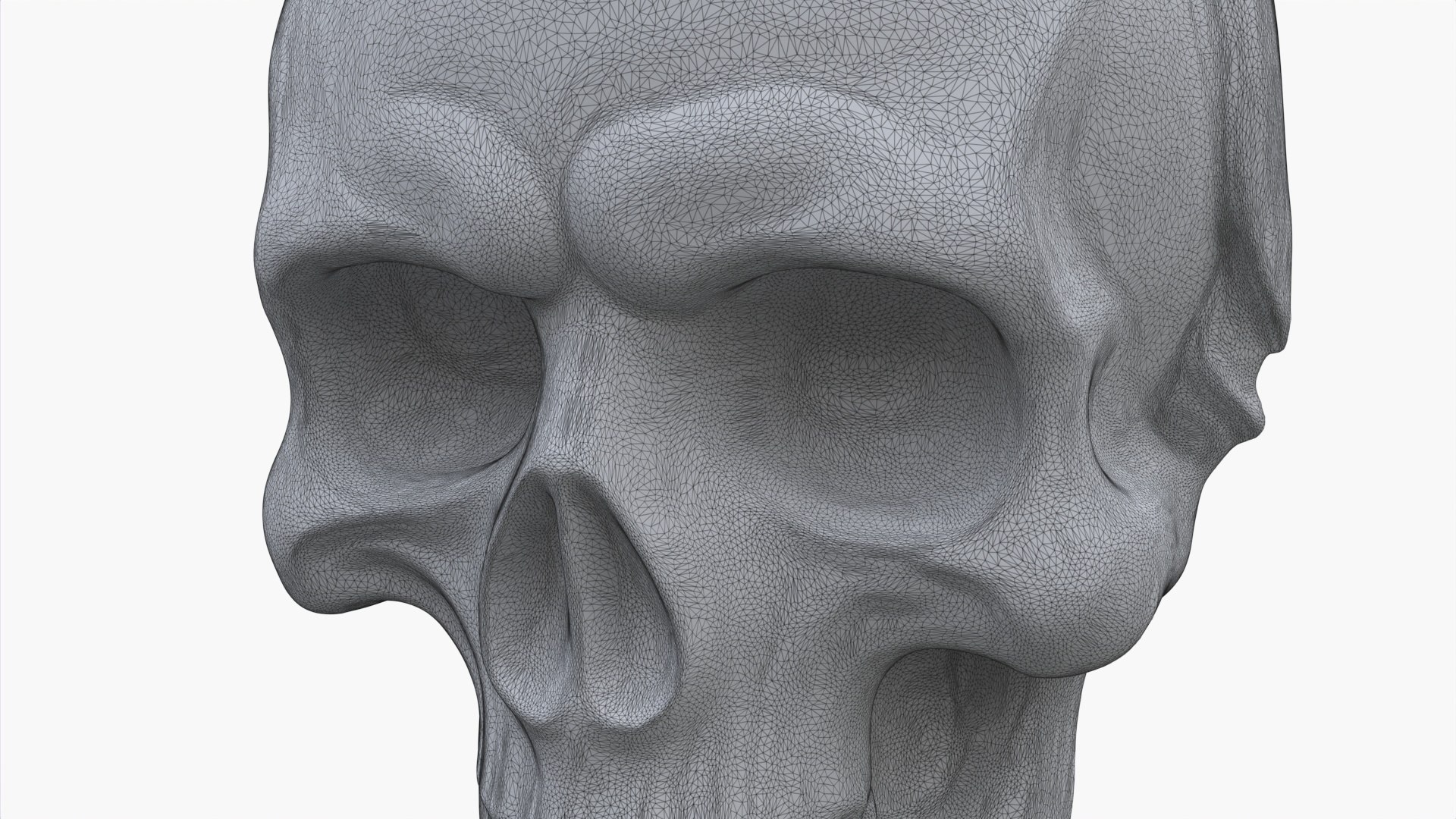 Skull Relief 25 3D Model - TurboSquid 2283952