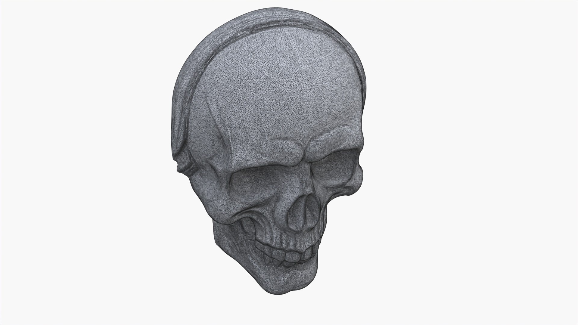 Skull Relief 25 3D Model - TurboSquid 2283952
