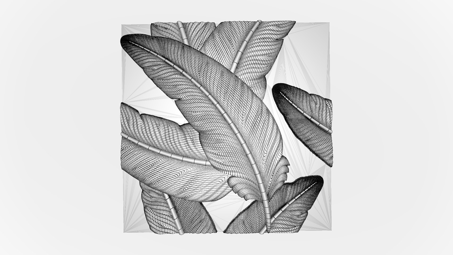 3D feather model 3D model - TurboSquid 2149599