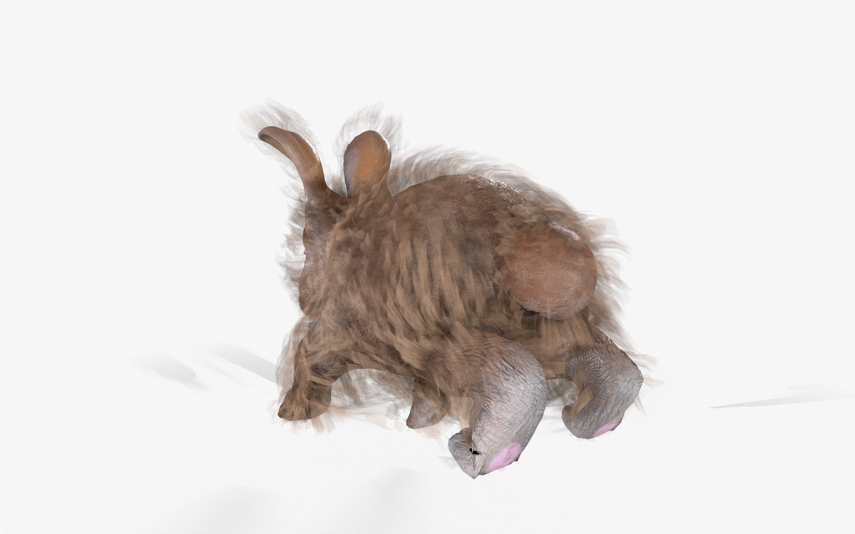 Rabbit 3D Model - TurboSquid 2119972