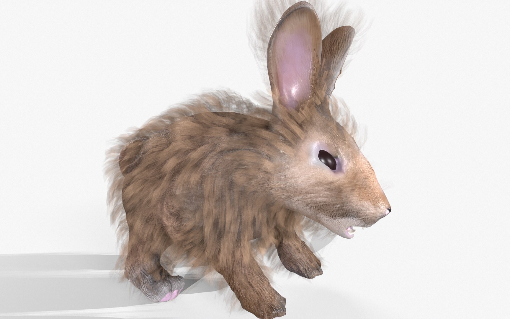 Rabbit 3D Model - TurboSquid 2119972