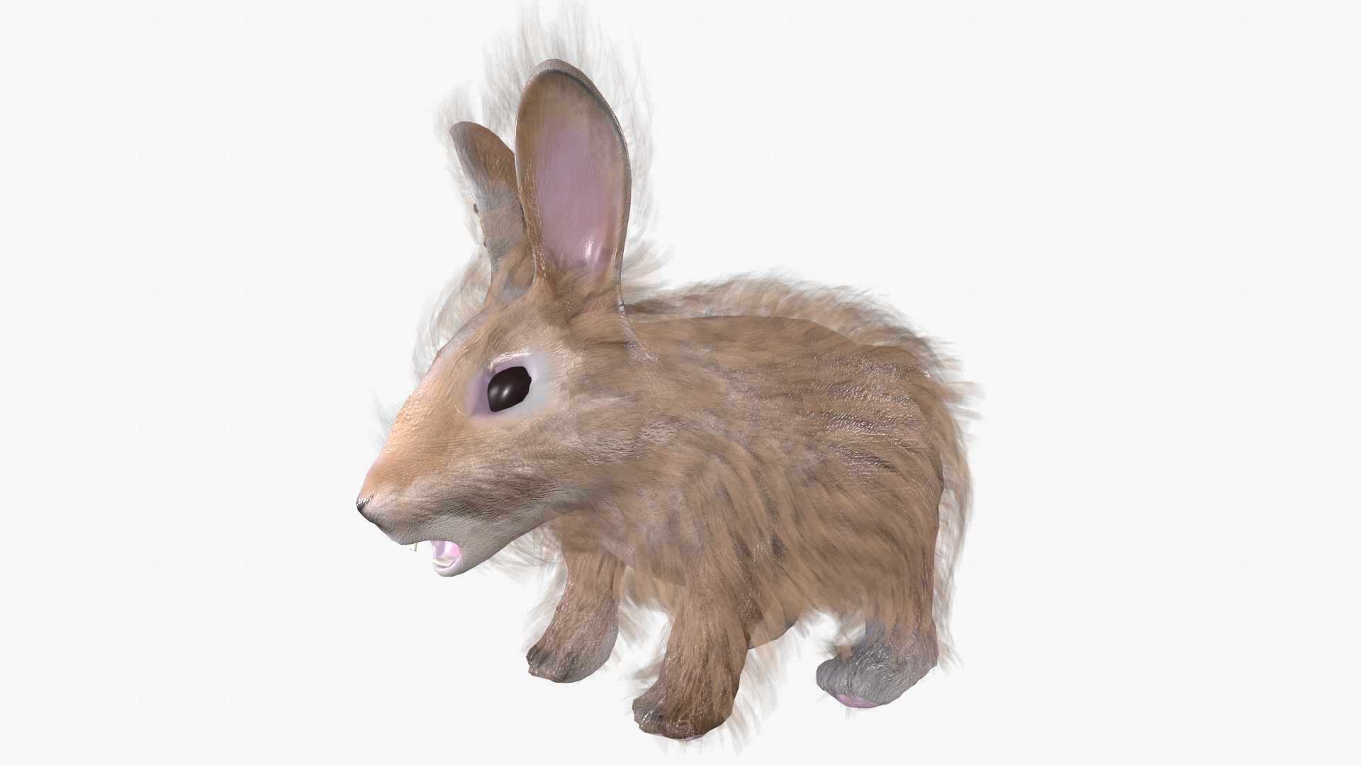 Rabbit 3D Model - TurboSquid 2119972