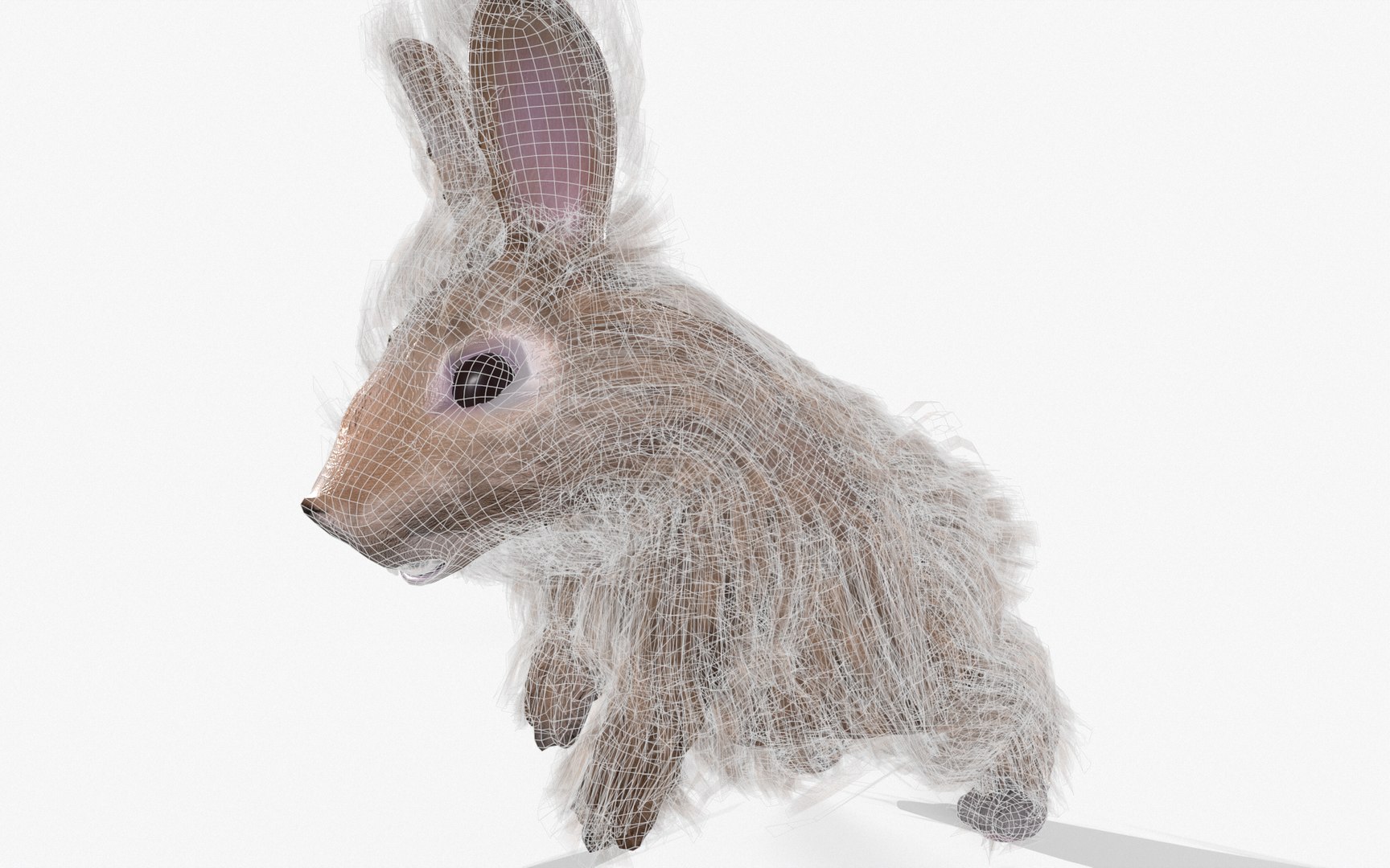Rabbit 3D Model - TurboSquid 2119972