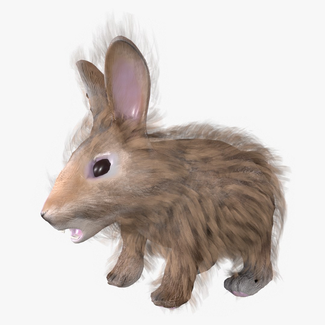 Rabbit 3D Model - TurboSquid 2119972
