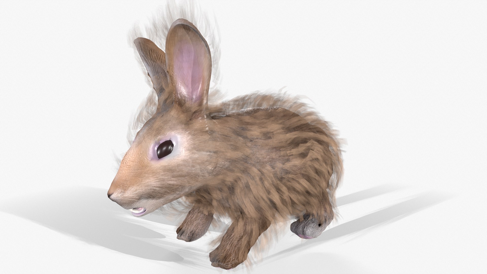 Rabbit 3D Model - TurboSquid 2119972