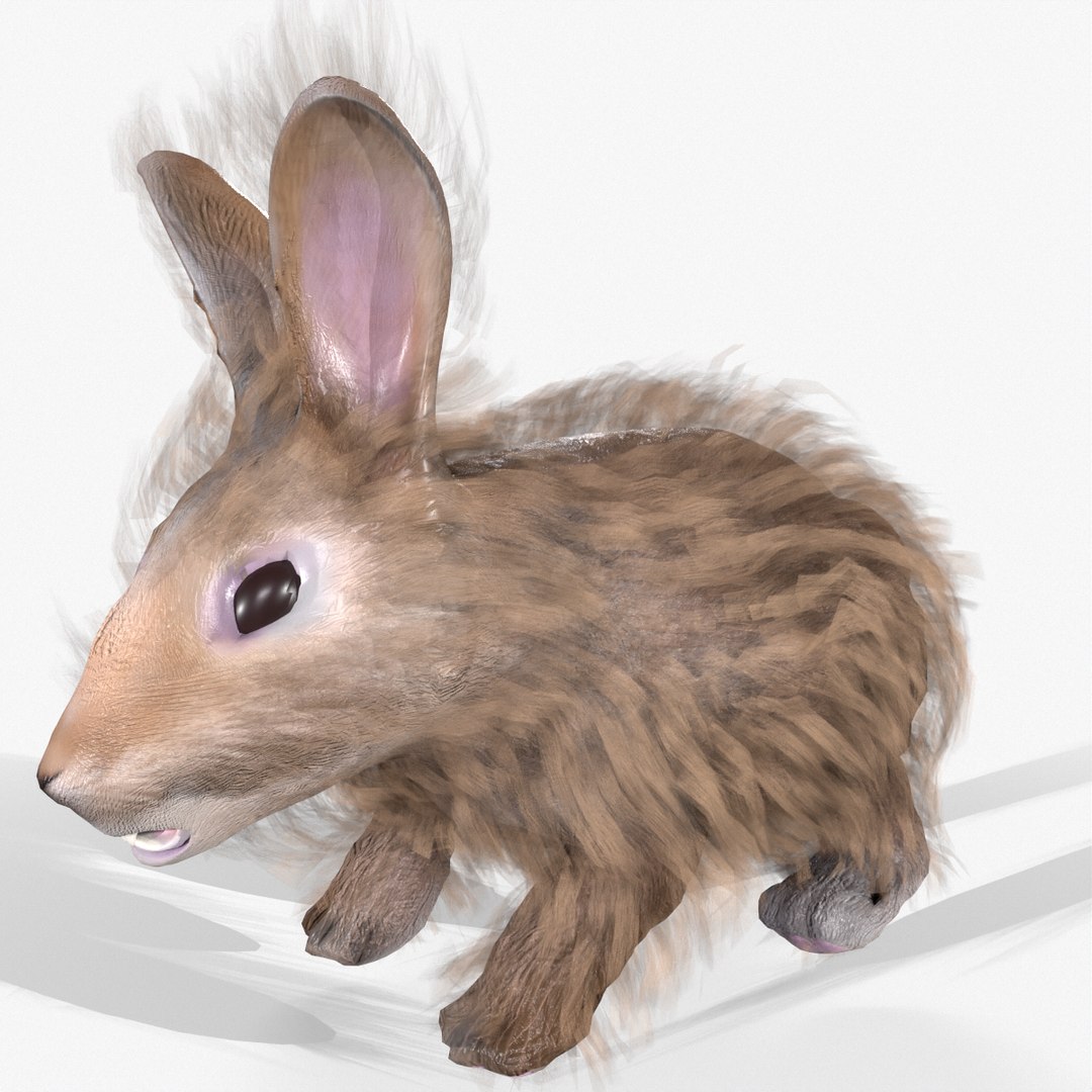 Rabbit 3D Model - TurboSquid 2119972