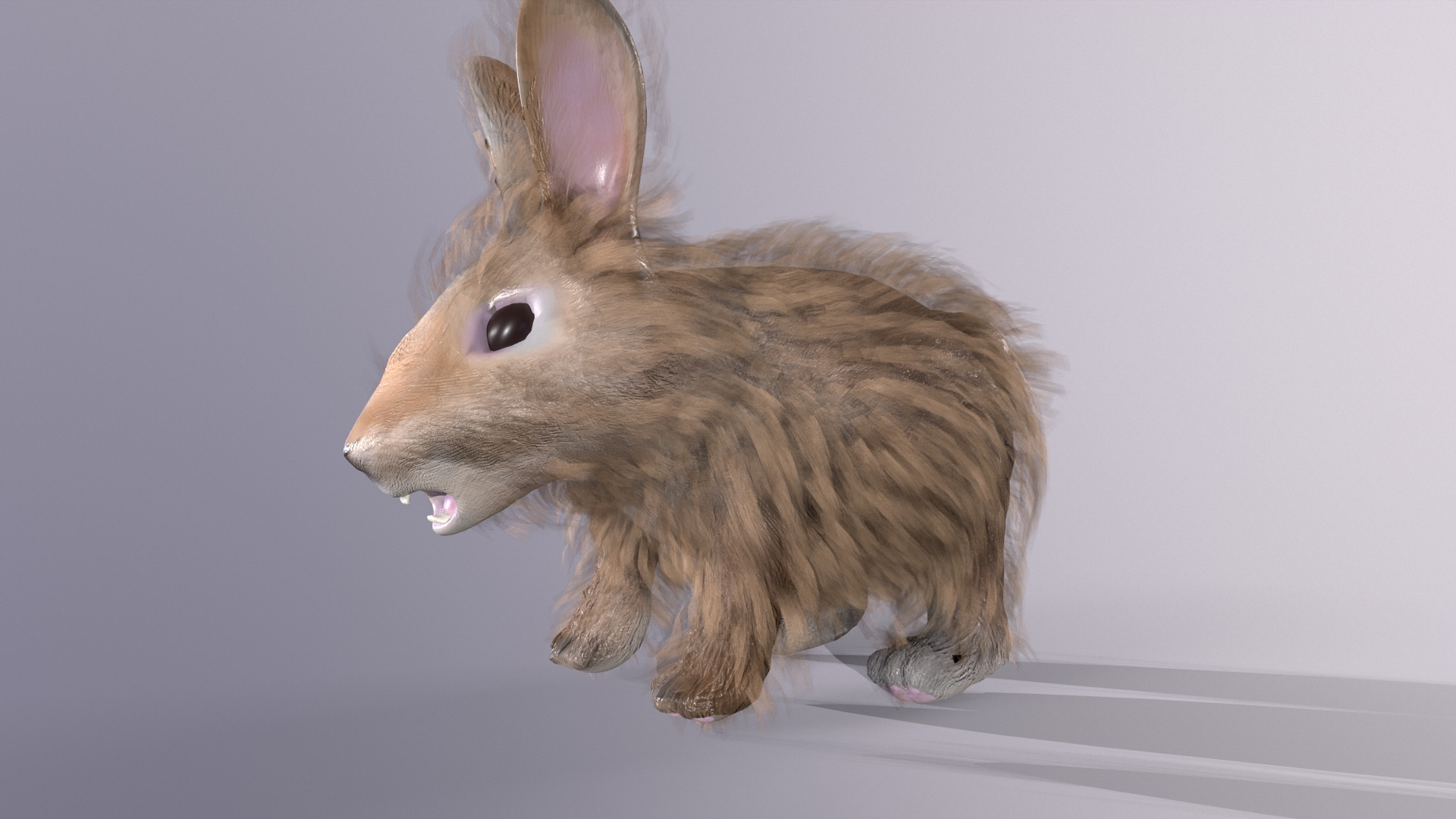 Rabbit 3D Model - TurboSquid 2119972