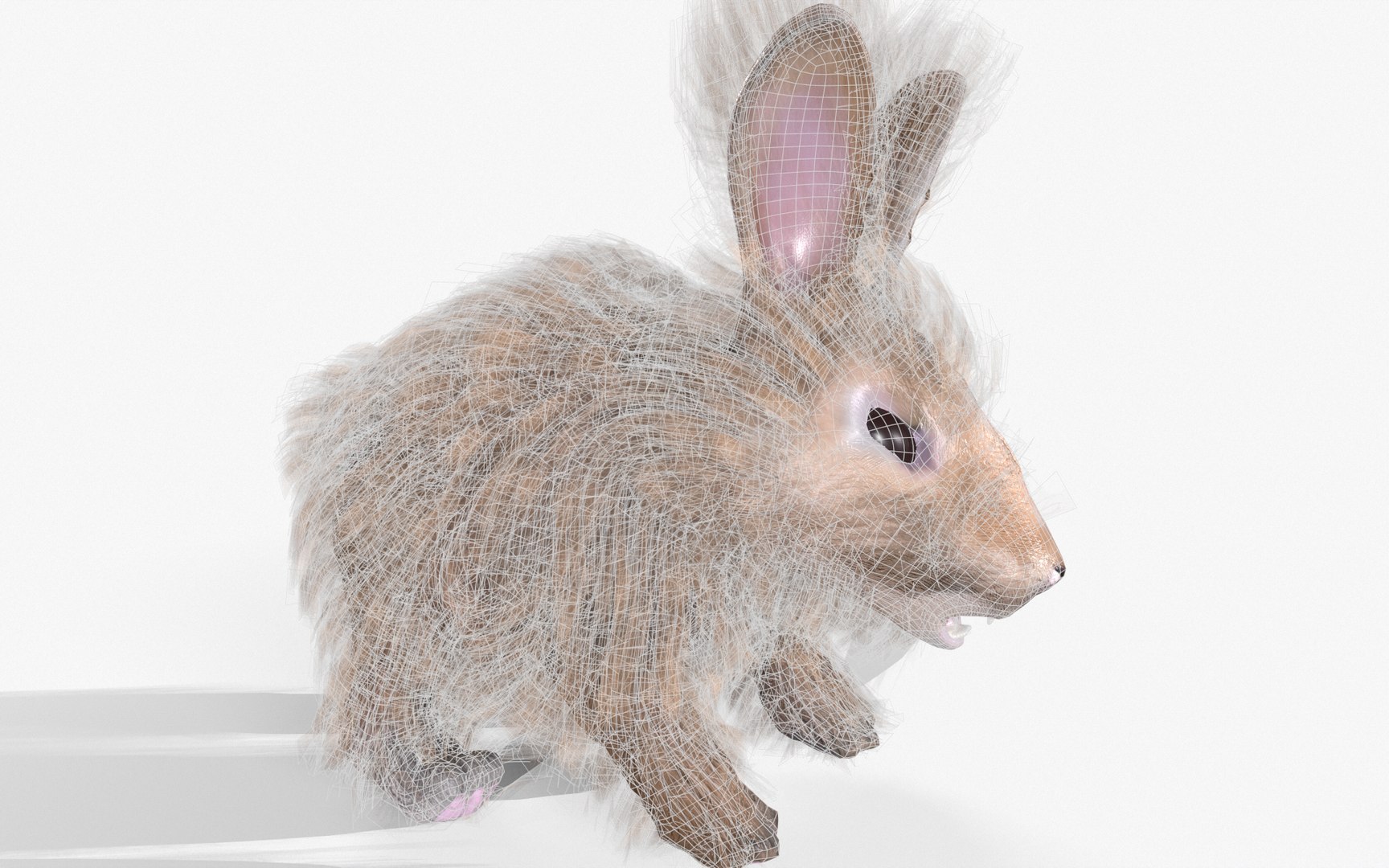 Rabbit 3D Model - TurboSquid 2119972