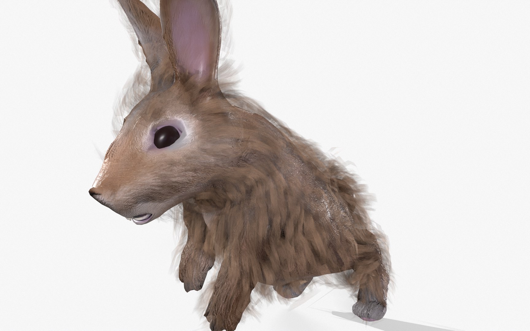 Rabbit 3D Model - TurboSquid 2119972