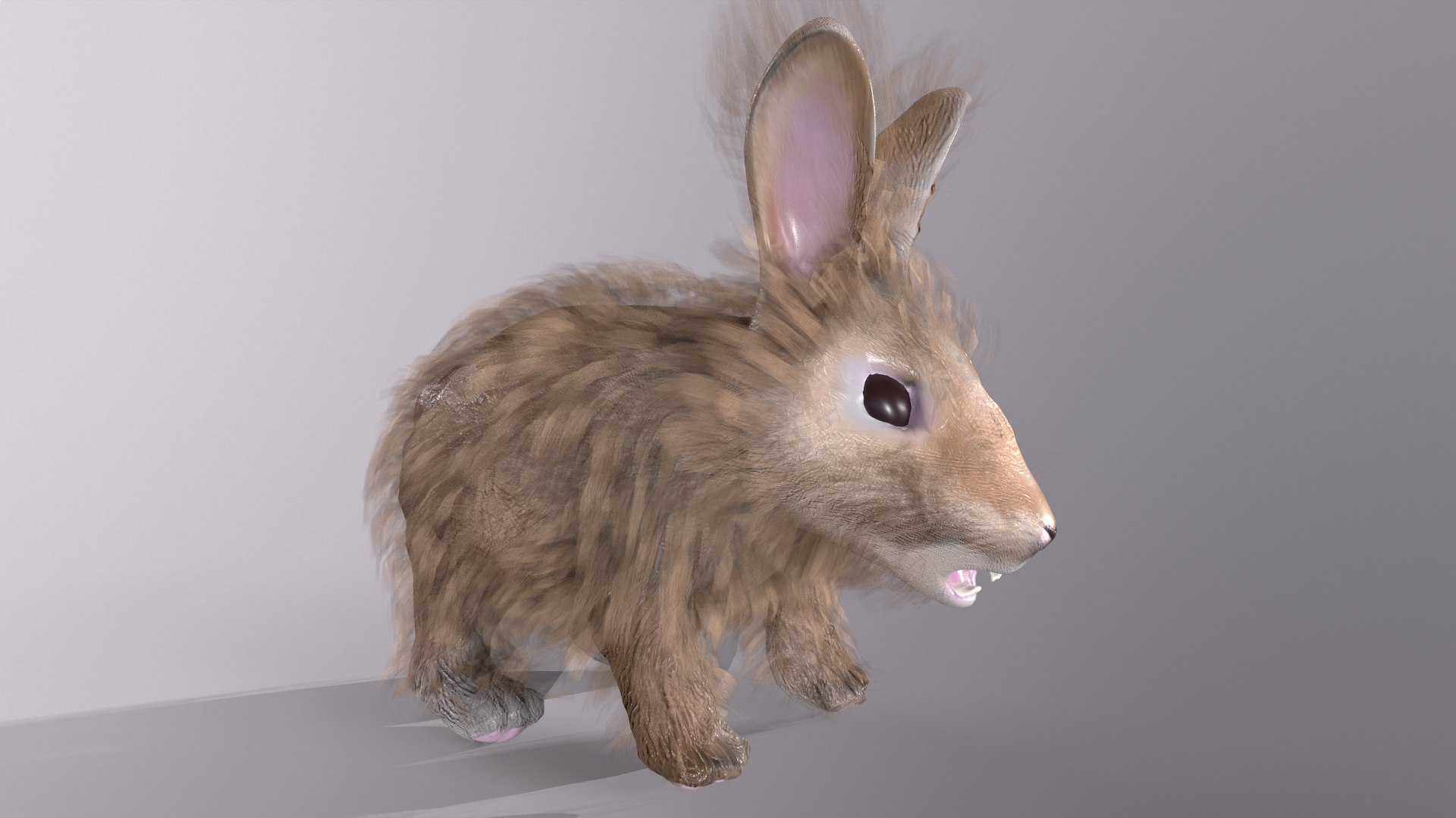 Rabbit 3D Model - TurboSquid 2119972