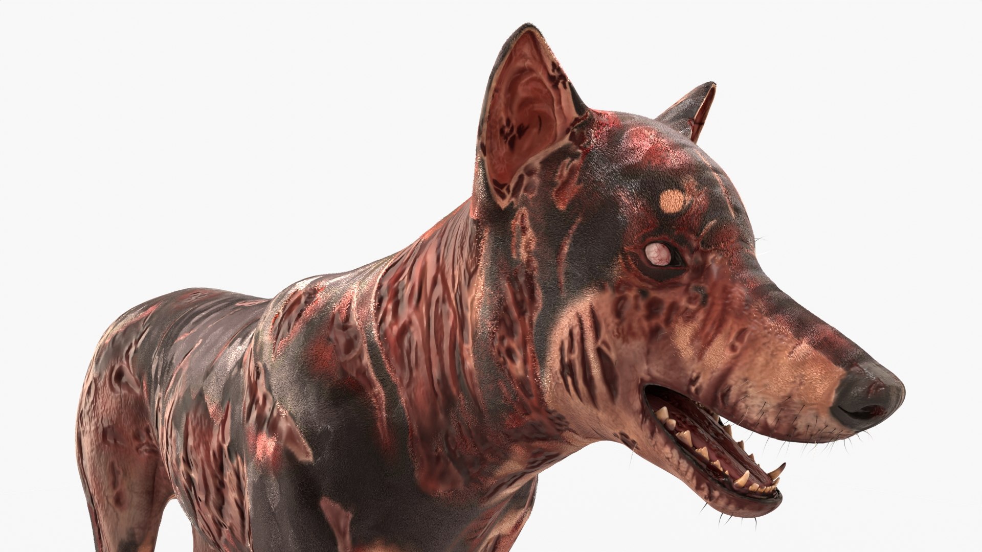 3D Zombie Dog Rigged with Fur - TurboSquid 2148799