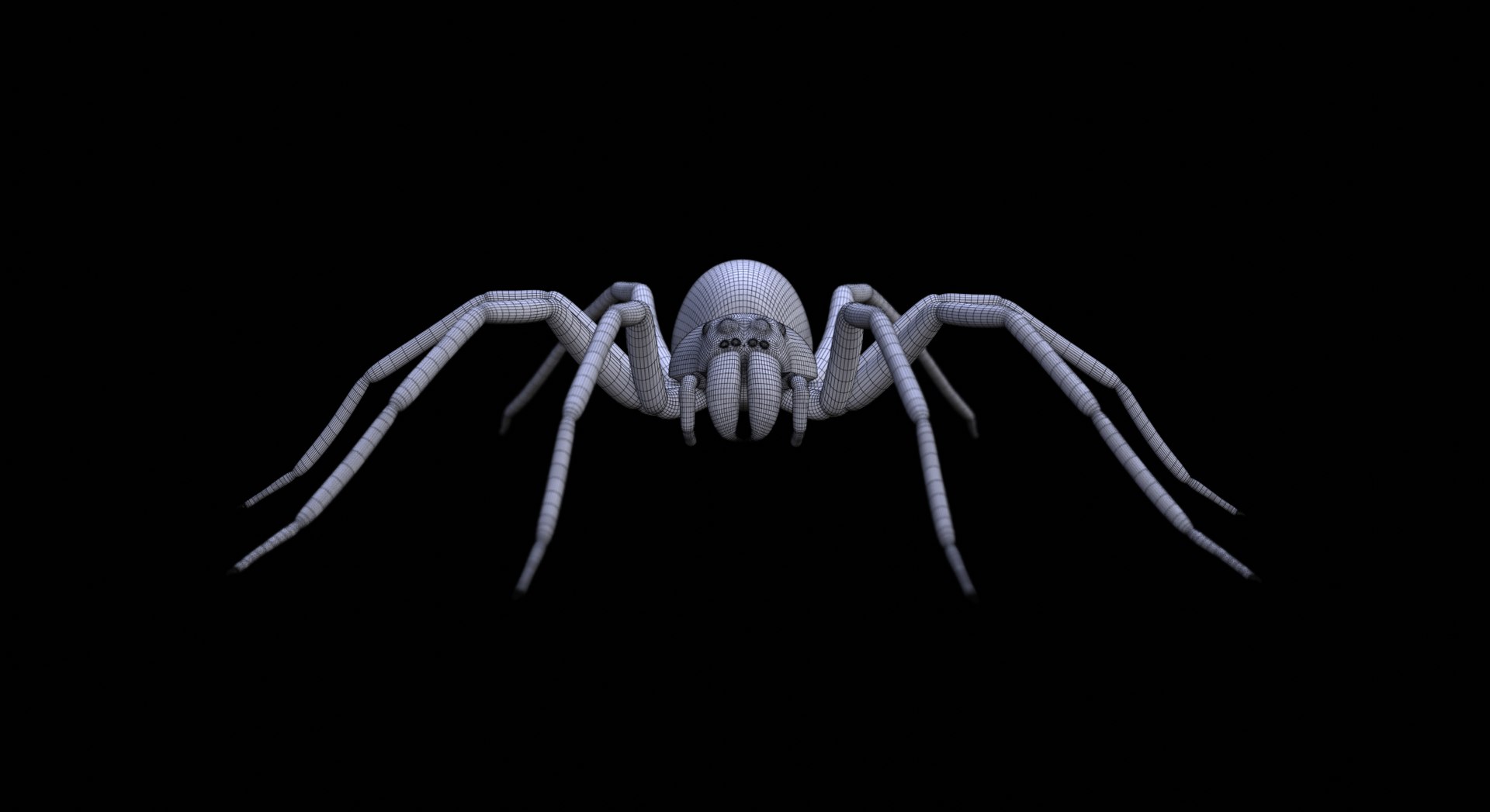 3D Wolf Spider Model - TurboSquid 1929173