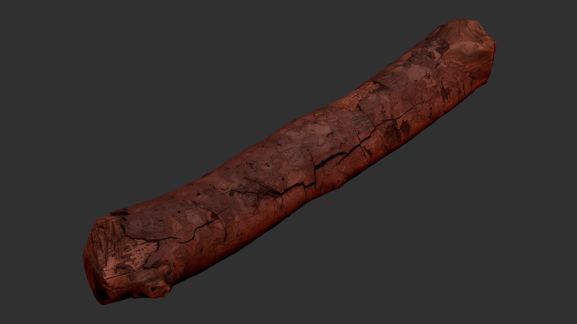 A Section Of Tree 3d Scan In Highpoly 3D - TurboSquid 2202712