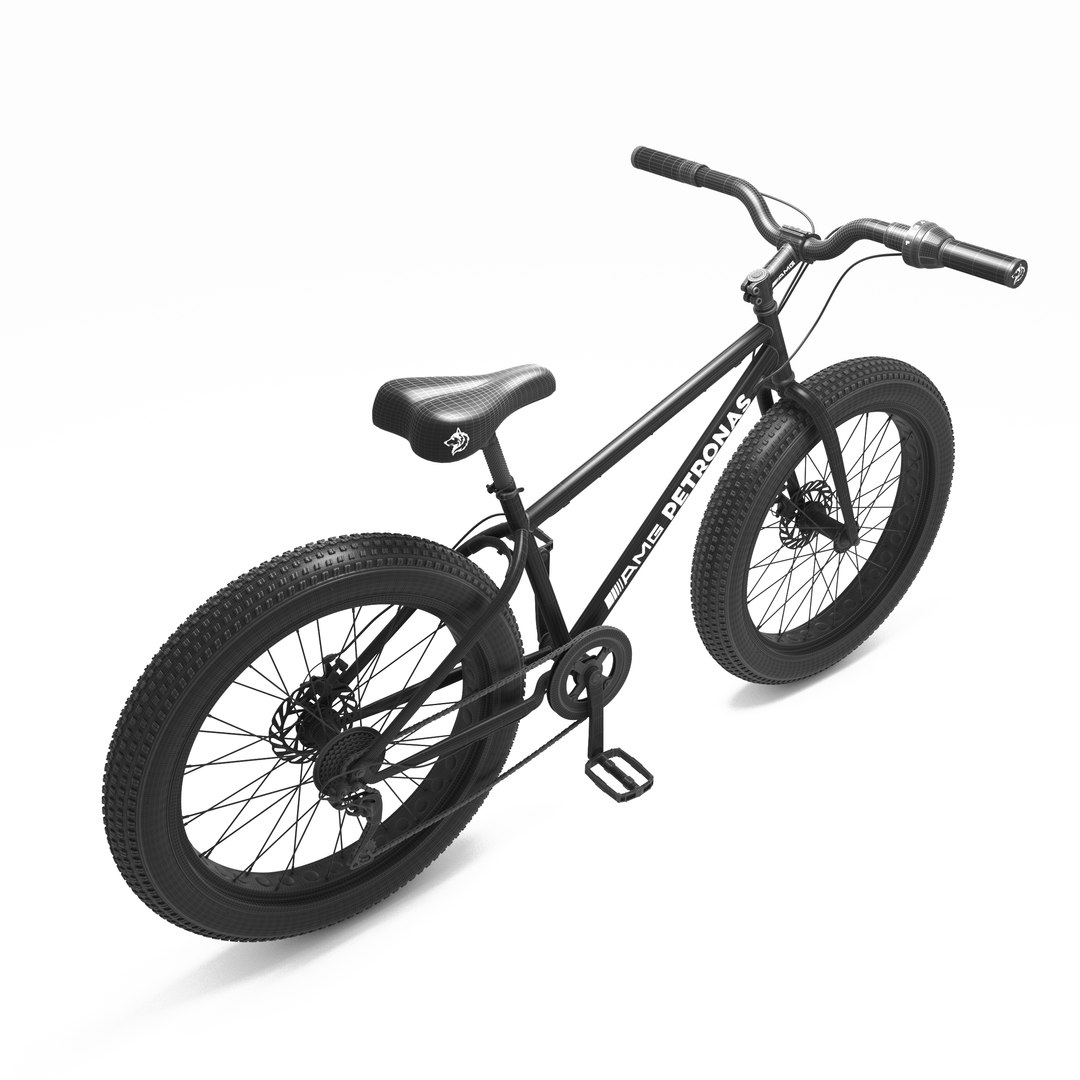 3D Bicycle Mountain Bike Fatboy Road - TurboSquid 2248200
