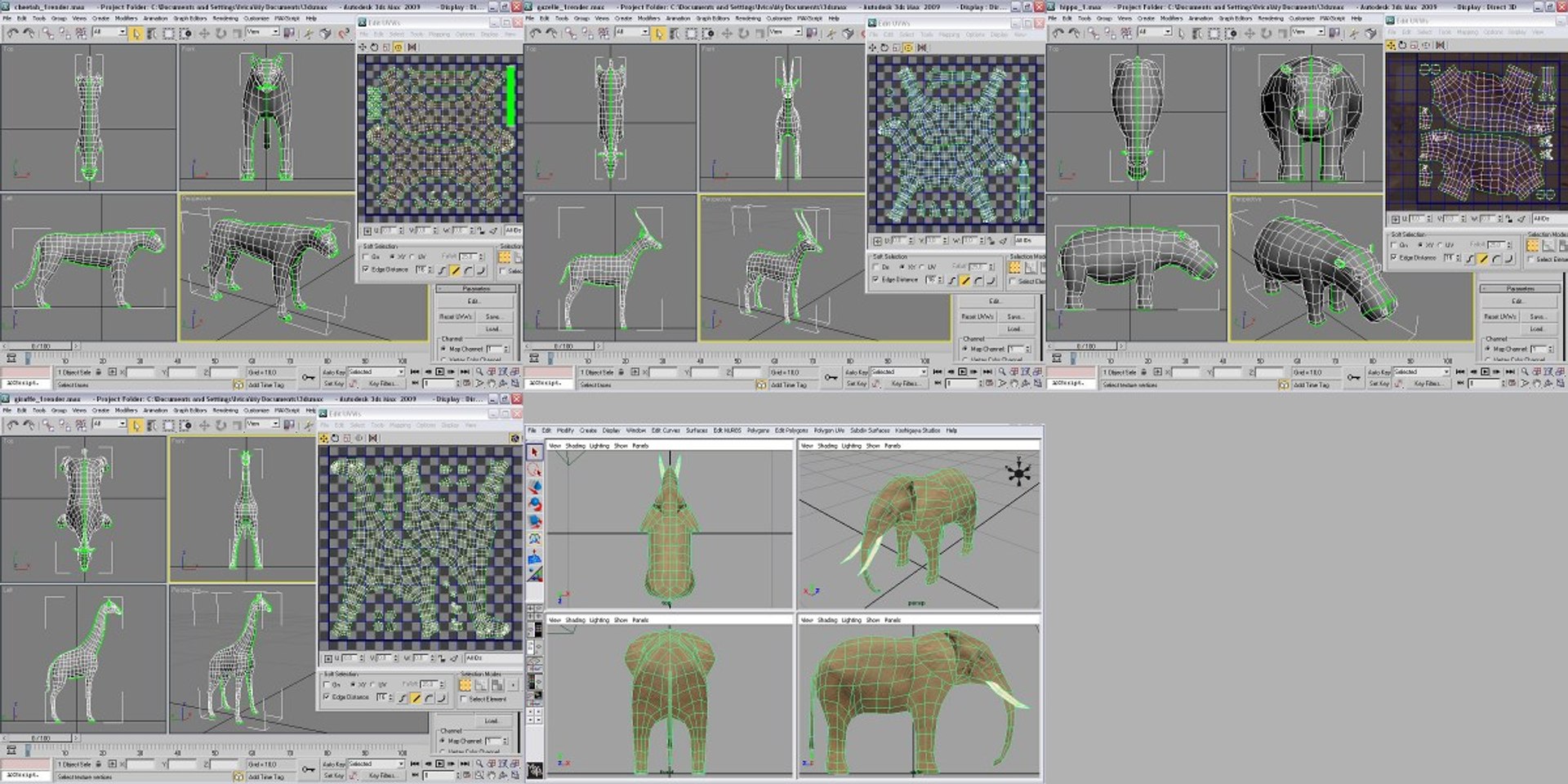 African Animals Cheetah Elephant 3d Max