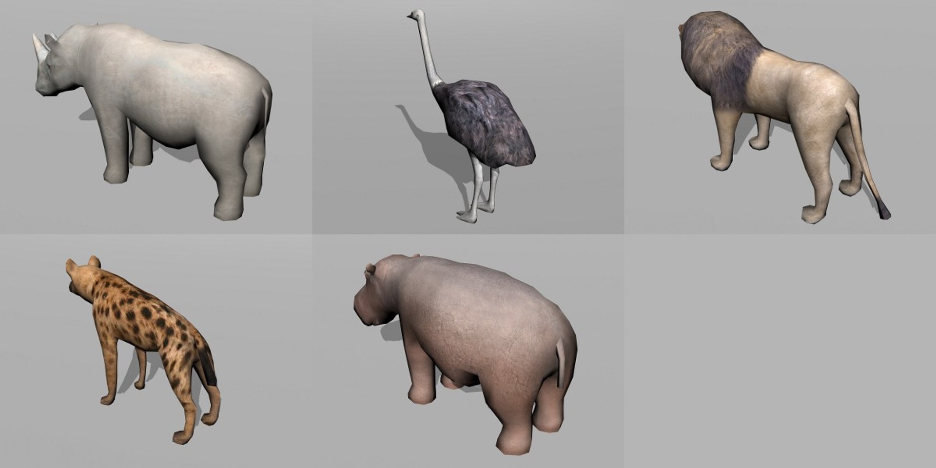 African Animals Cheetah Elephant 3d Max