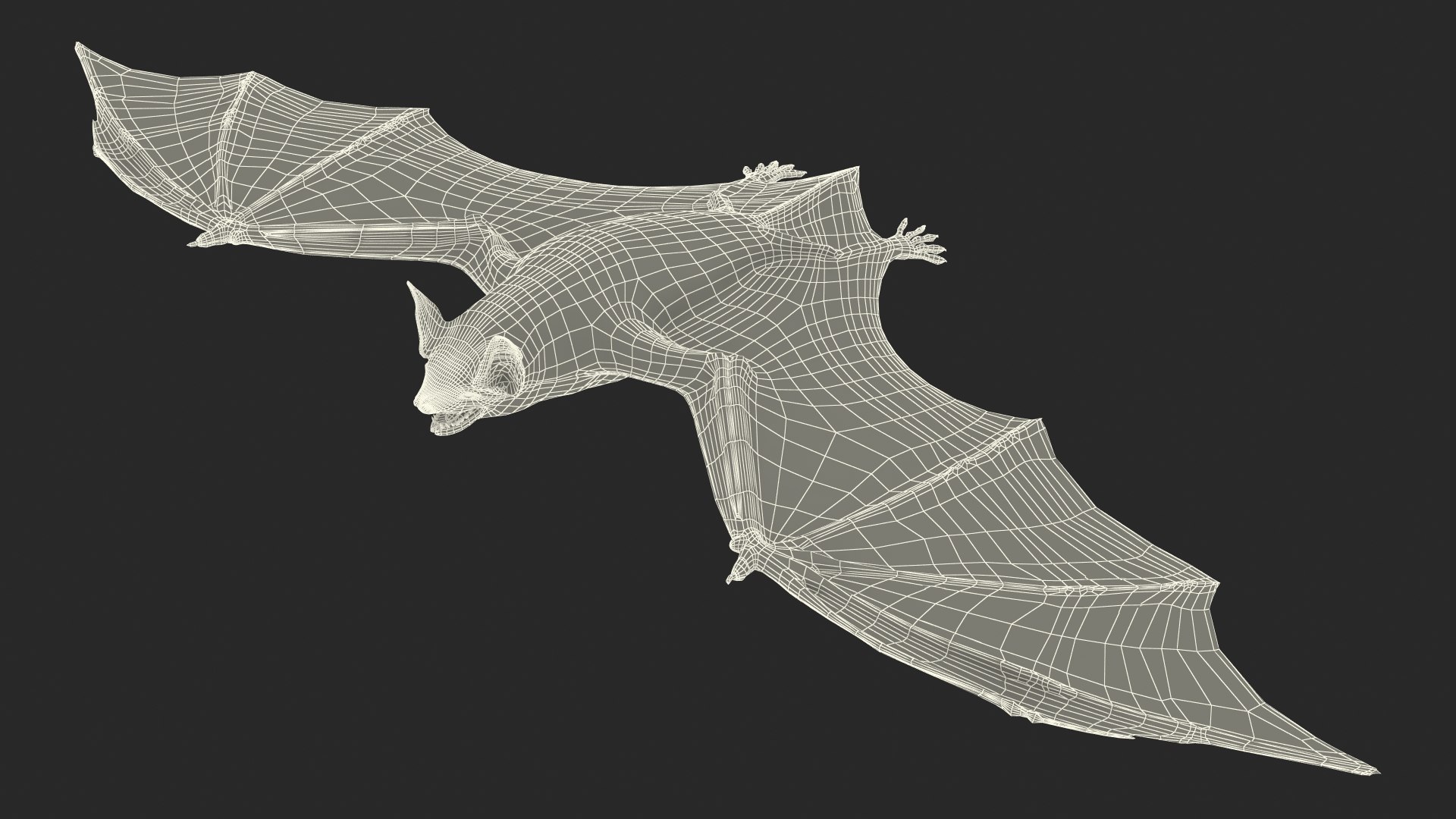 Black Bat Rigged 3D Model - TurboSquid 1858008