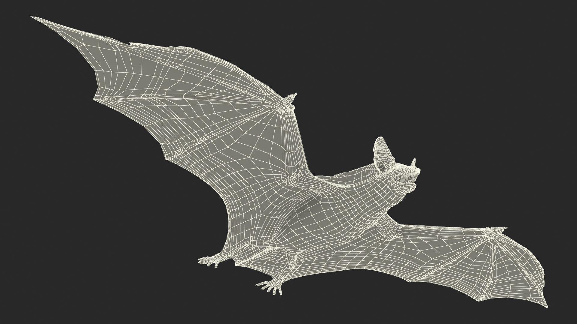 Black Bat Rigged 3D Model - TurboSquid 1858008