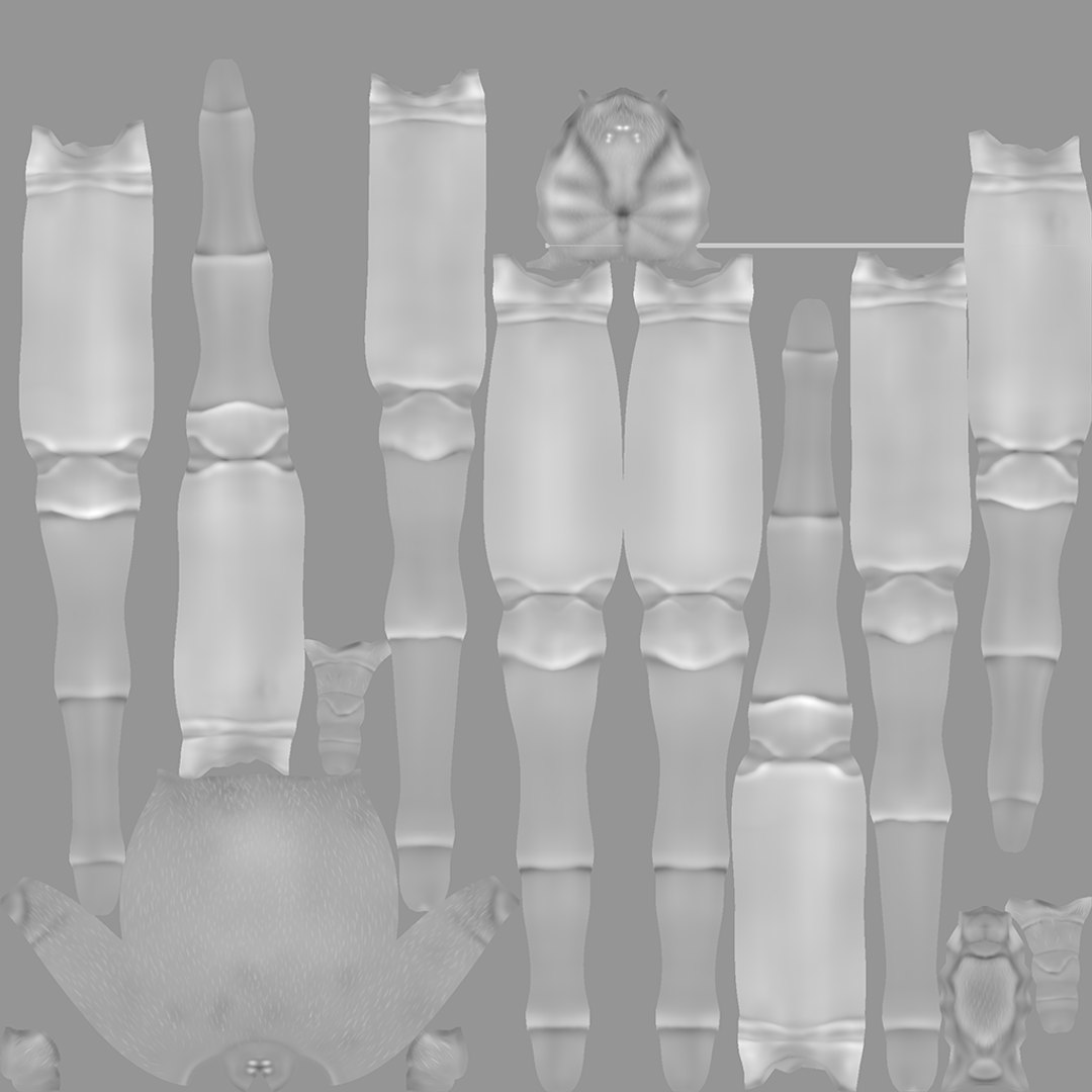 Brown Recluse Spider 3D Model - TurboSquid 2253375