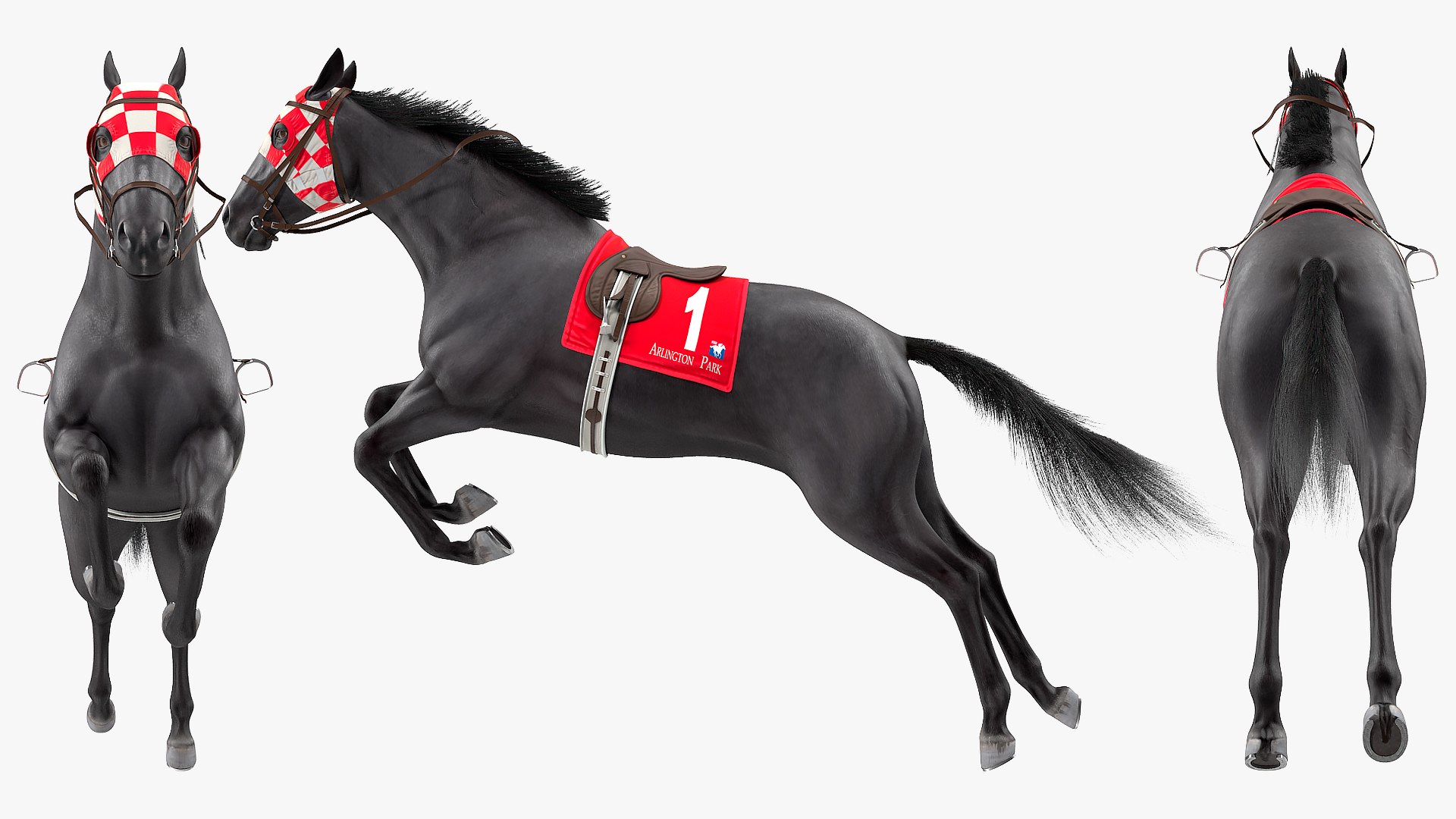 3D Jumping Black Racing Horse Model - TurboSquid 1459672
