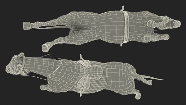 3D jumping black racing horse model - TurboSquid 1459672