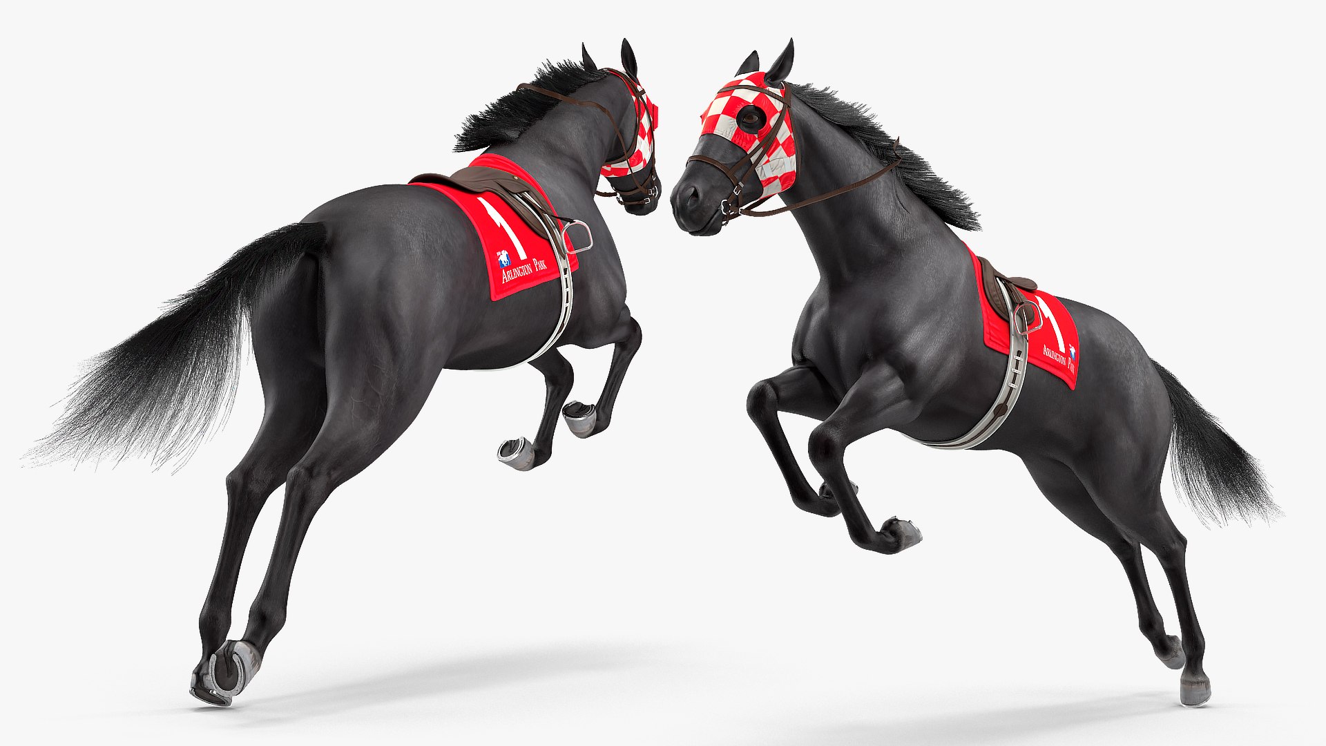 3D Jumping Black Racing Horse Model - TurboSquid 1459672