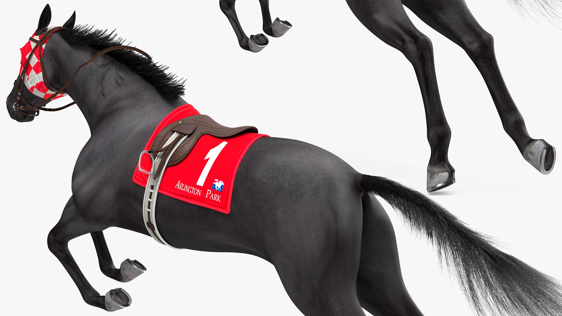 3D Jumping Black Racing Horse Model - TurboSquid 1459672
