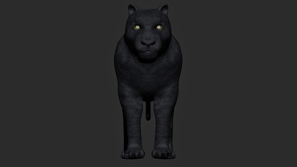 Fully rigged big cat 3D model - TurboSquid 1697449