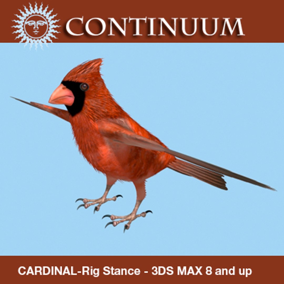 3d Model Cardinal-mapped-rigstance Cardinal Rig Stance