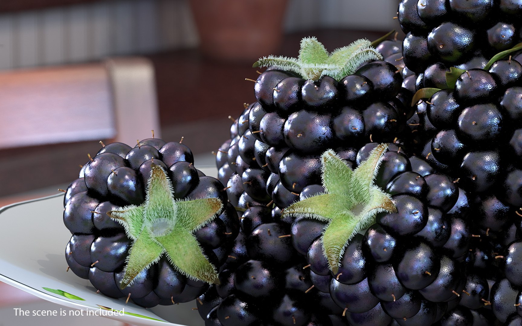 3D Model Blackberry Fur - TurboSquid 1380359