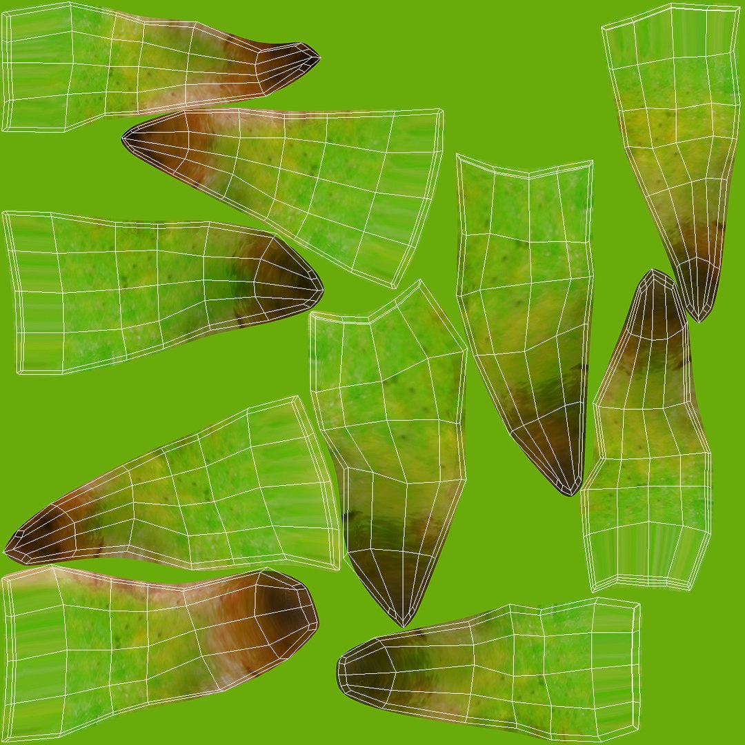 3D Model Blackberry Fur - TurboSquid 1380359