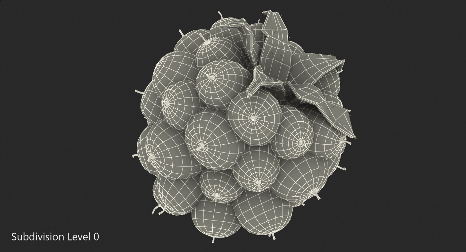 3D Model Blackberry Fur - TurboSquid 1380359