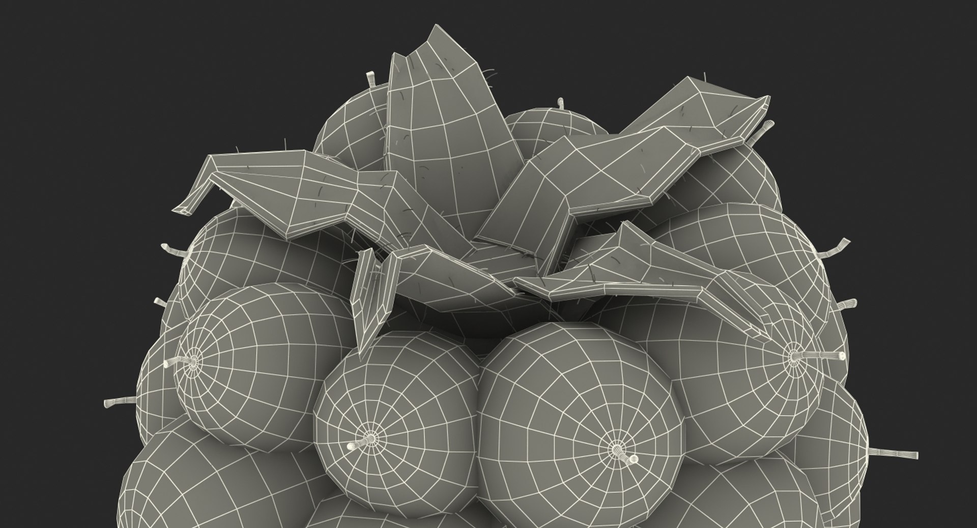 3D Model Blackberry Fur - TurboSquid 1380359